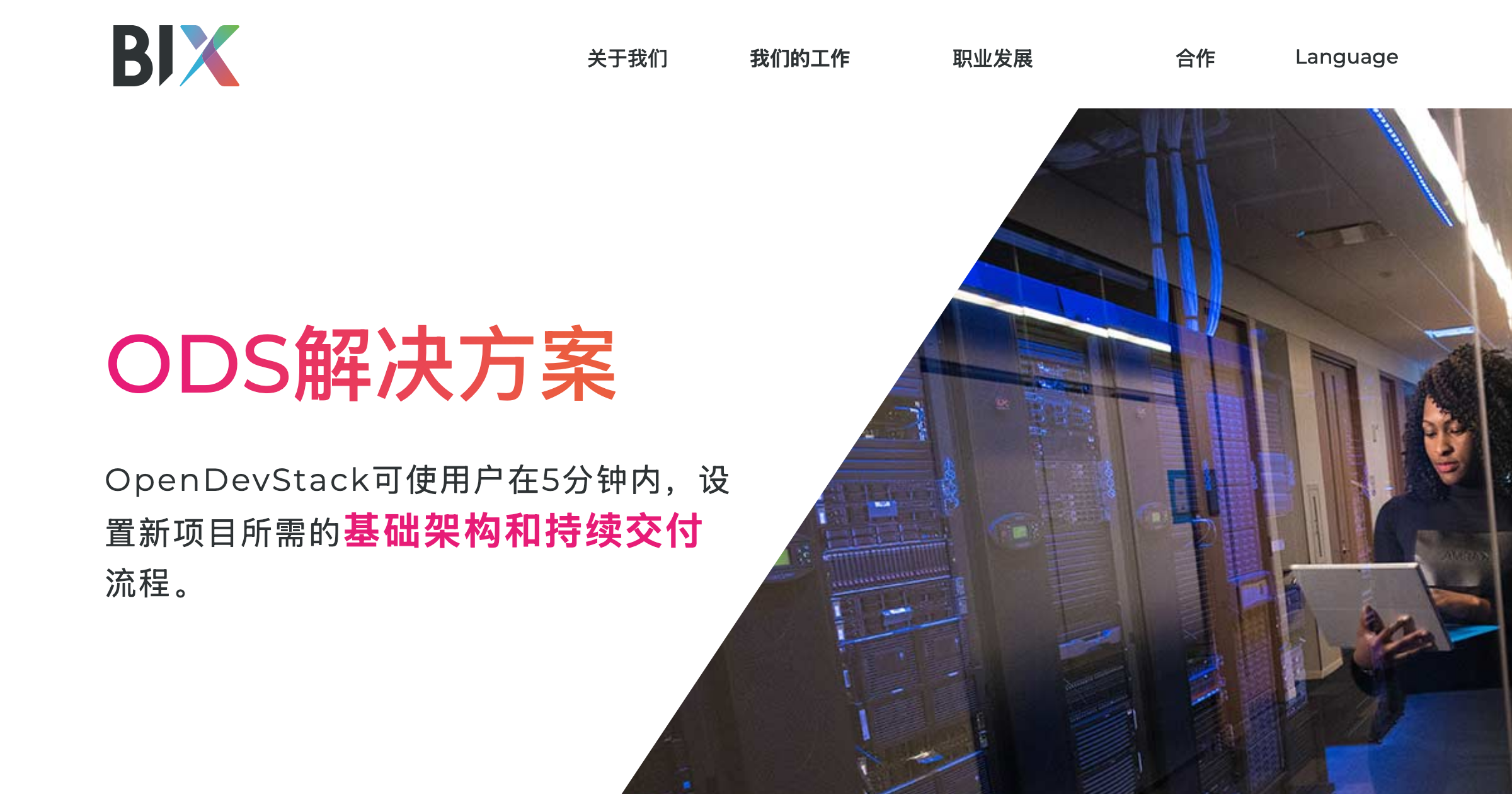 OpenDevStack解决方案 | BI X