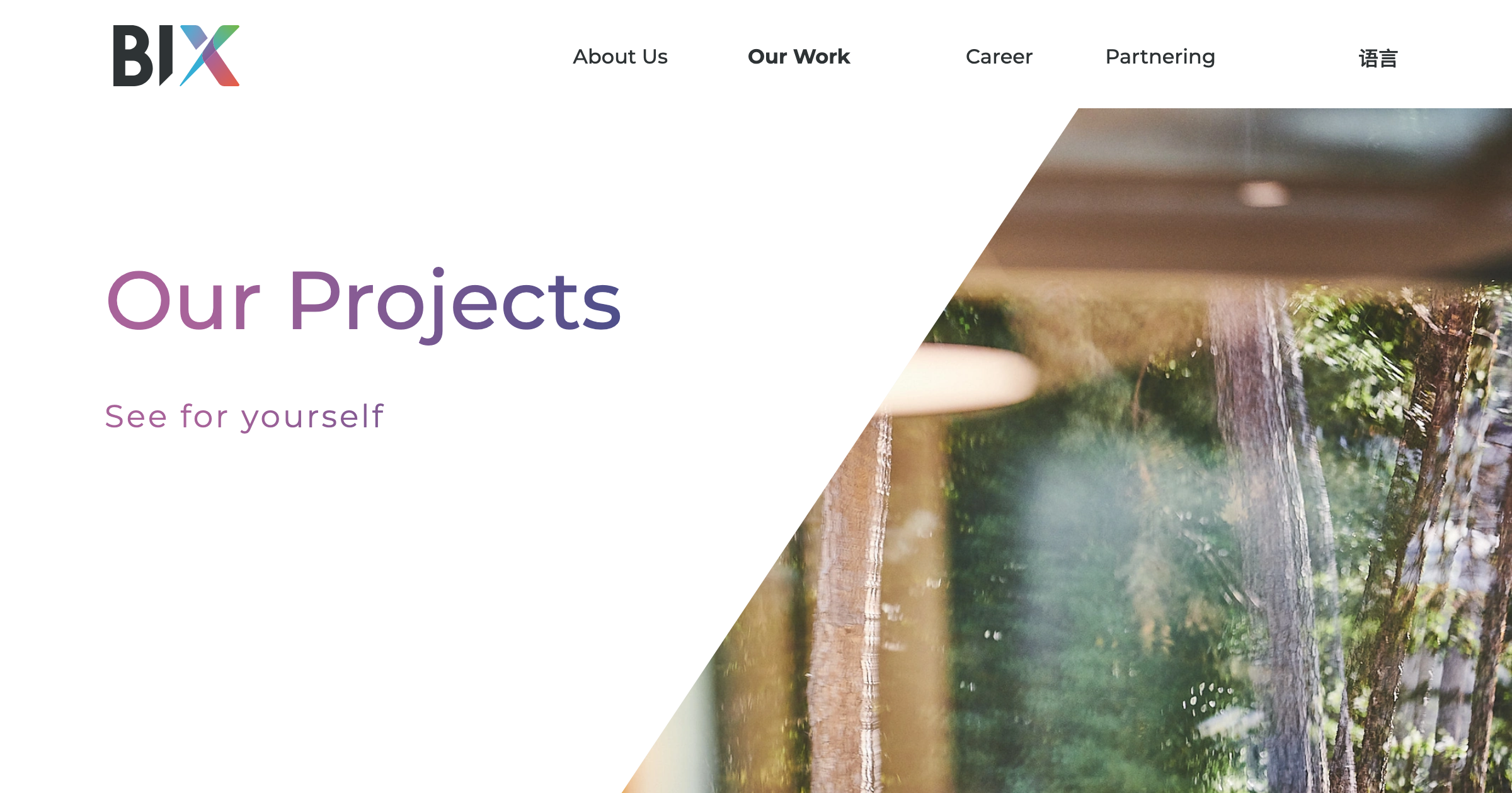Our Projects | BI X